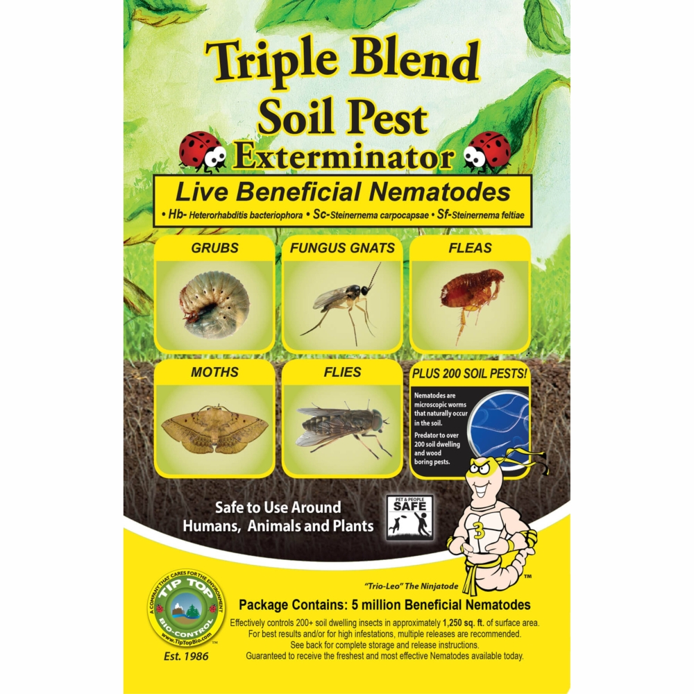 BENEFICIAL NEMATODES – Covingtons