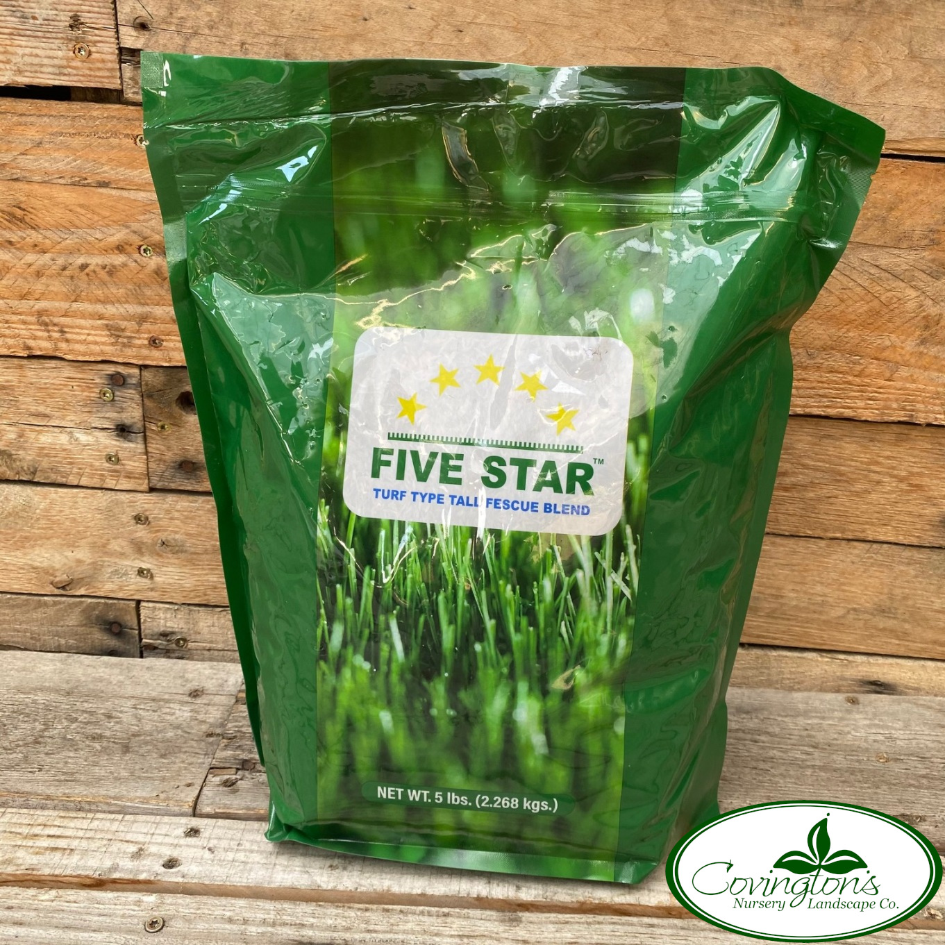 FESCUE SEED – Covingtons