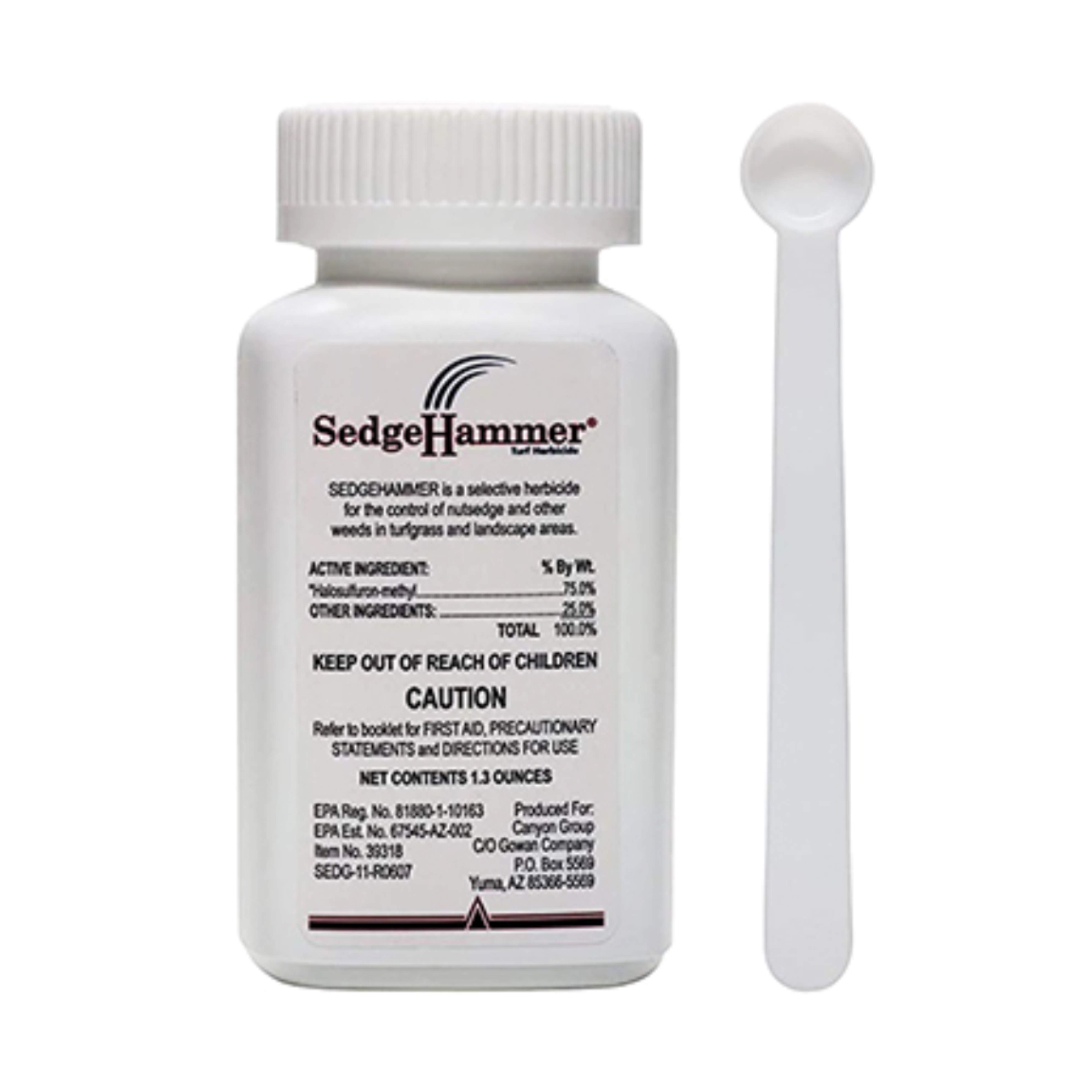 SEDGEHAMMER – Covingtons