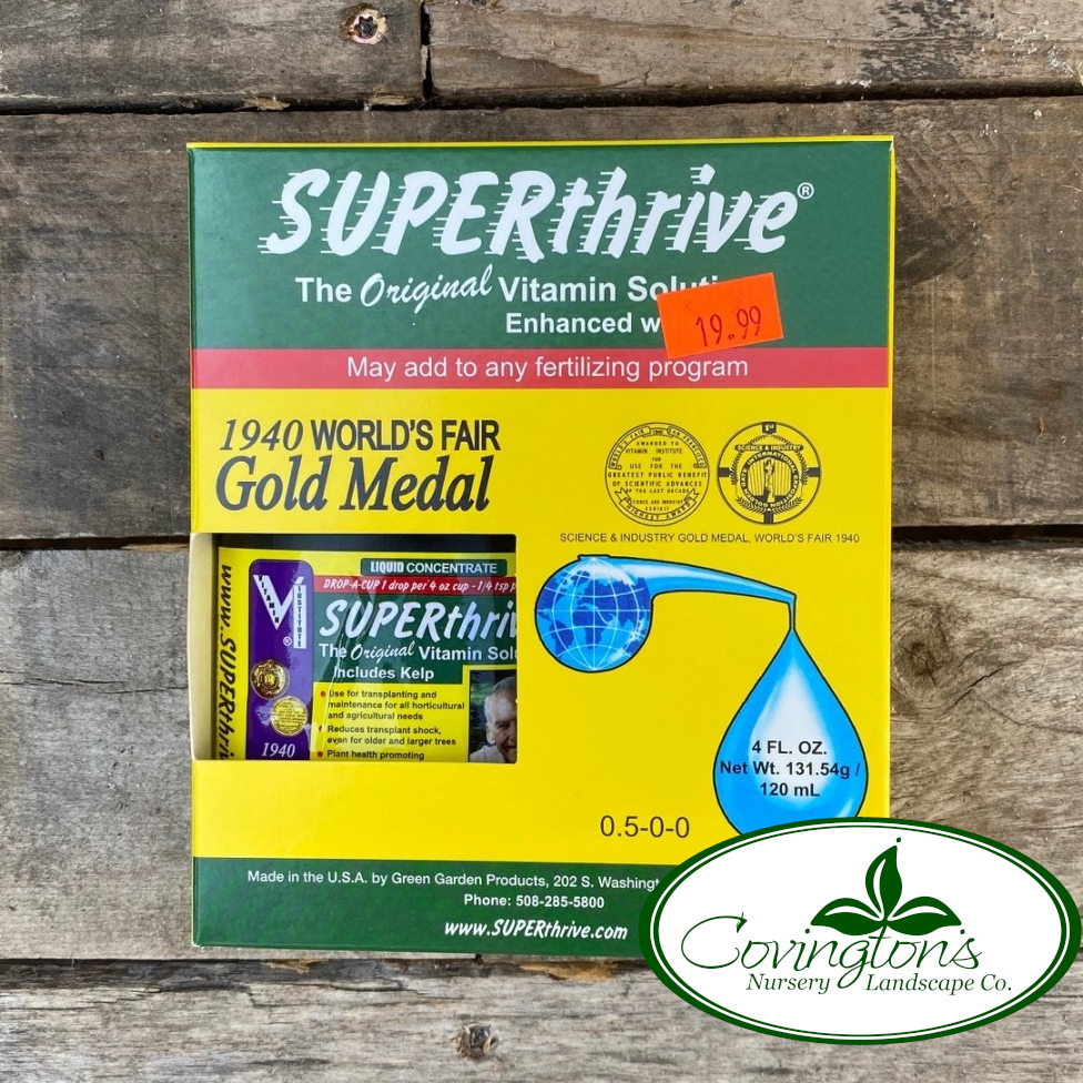 SUPERTHRIVE – Covingtons