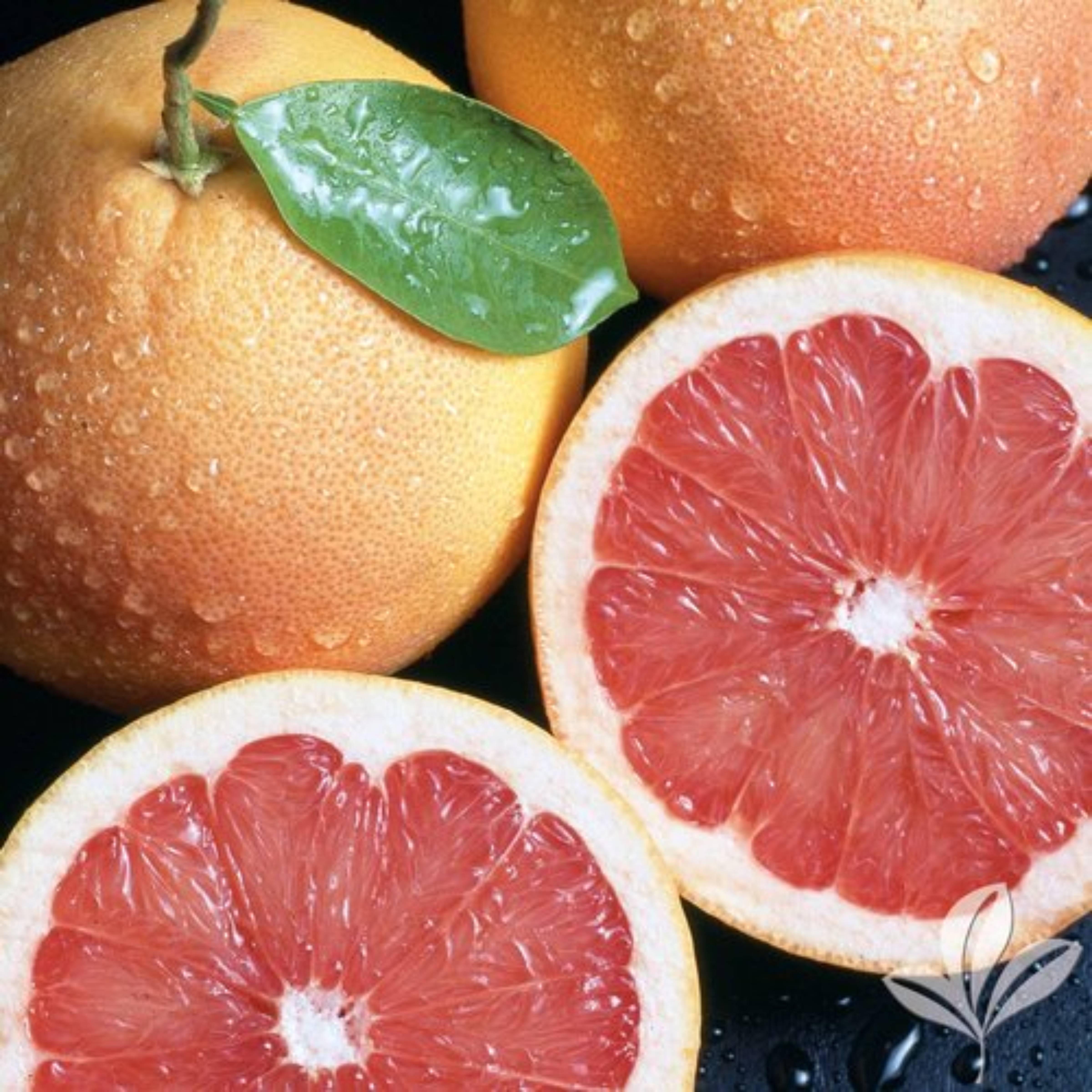 CITRUS rio red grapefruit – Covingtons
