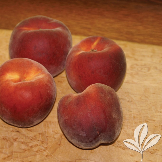 PEACH ranger – Covingtons