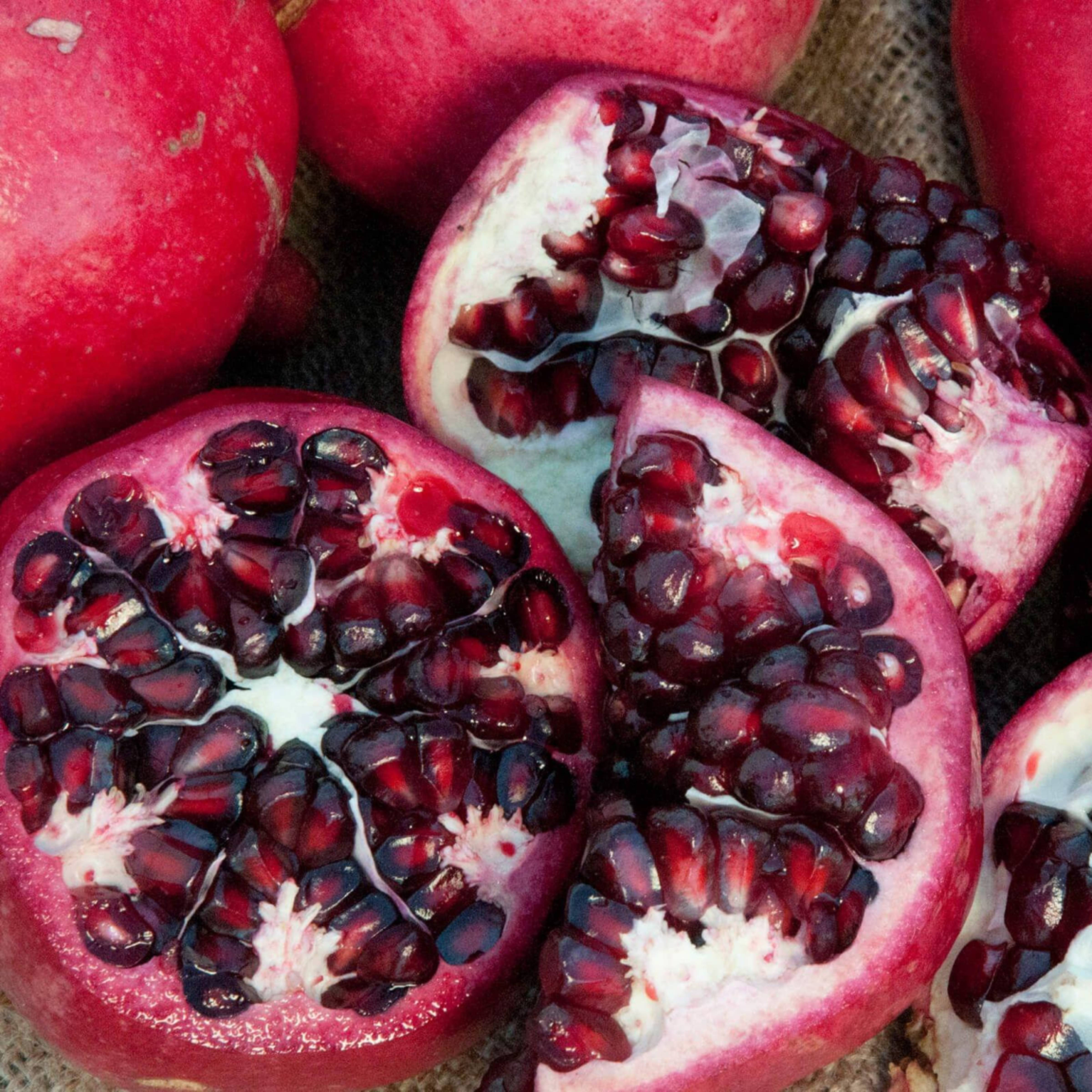 POMEGRANATE parfianka – Covingtons