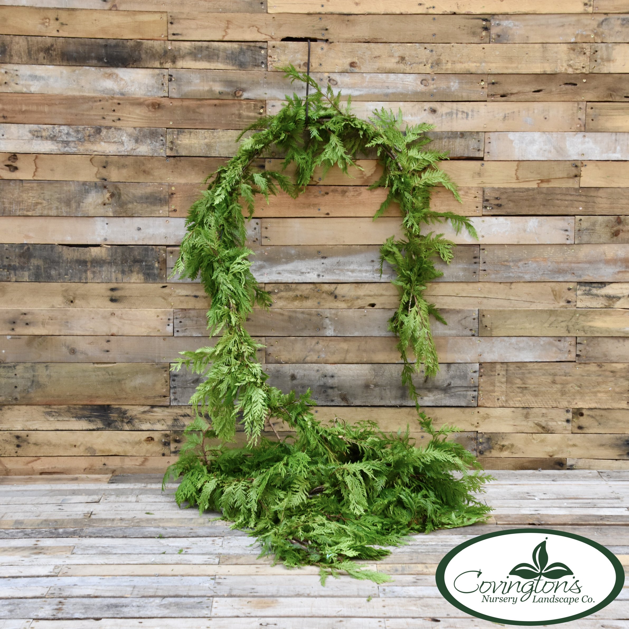 GARLAND CEDAR – Covingtons