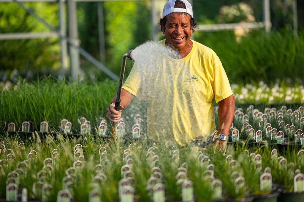 Careers – Covingtons