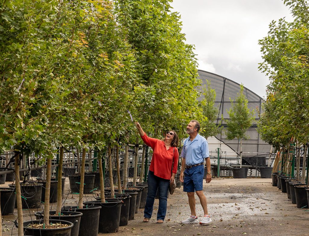 TREE PLANTING – Covingtons