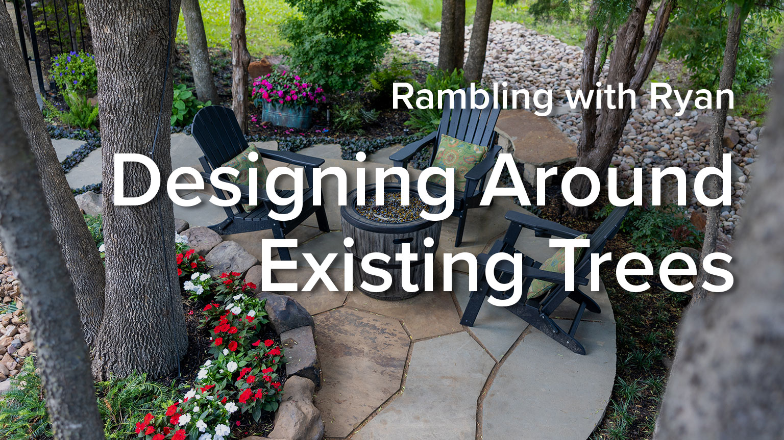 Designing around Existing Trees – Covingtons