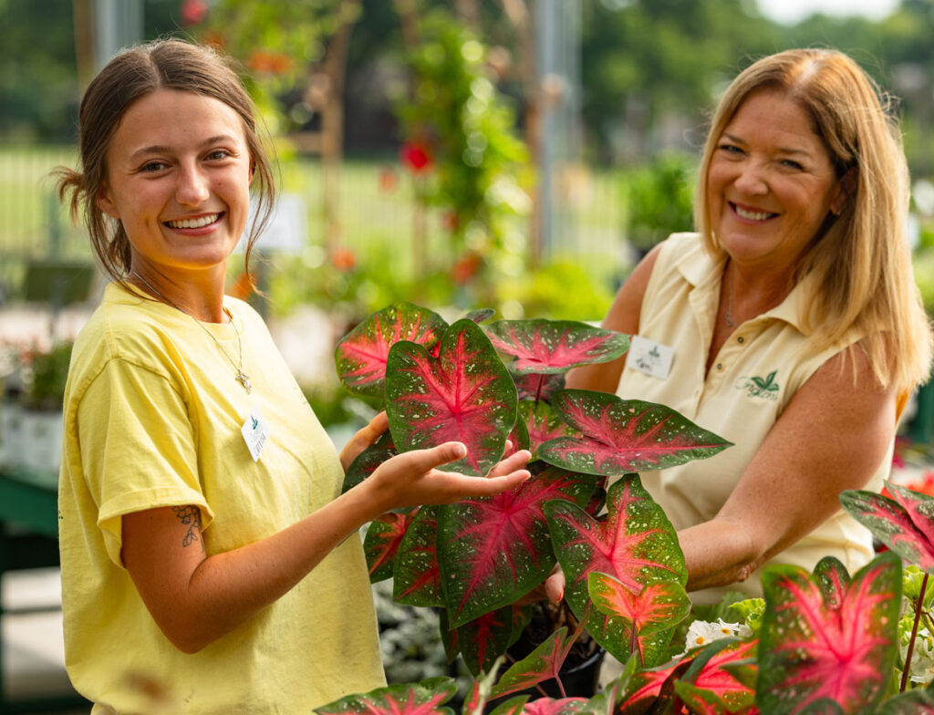 Careers – Covingtons