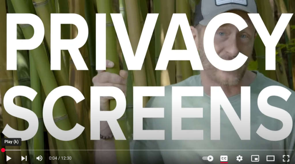 Create a Green Haven: The Beauty & Benefits of Landscape Privacy ...