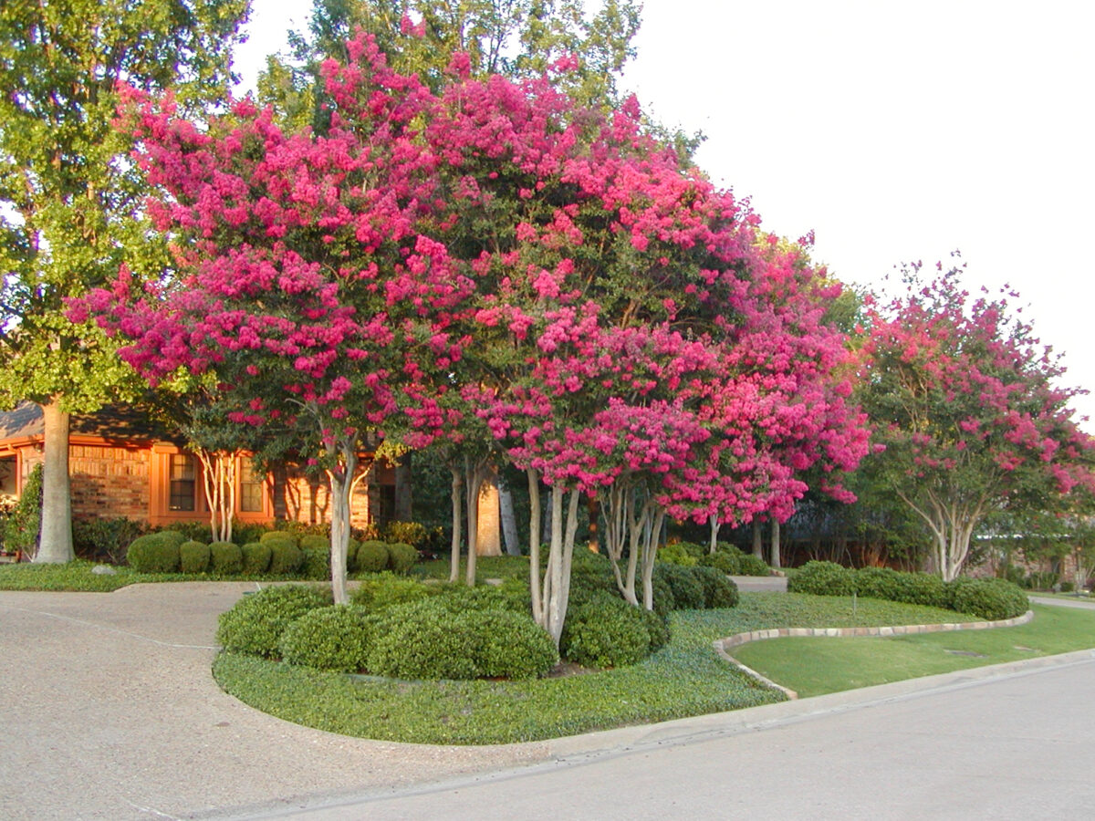 Workshops – Covingtons