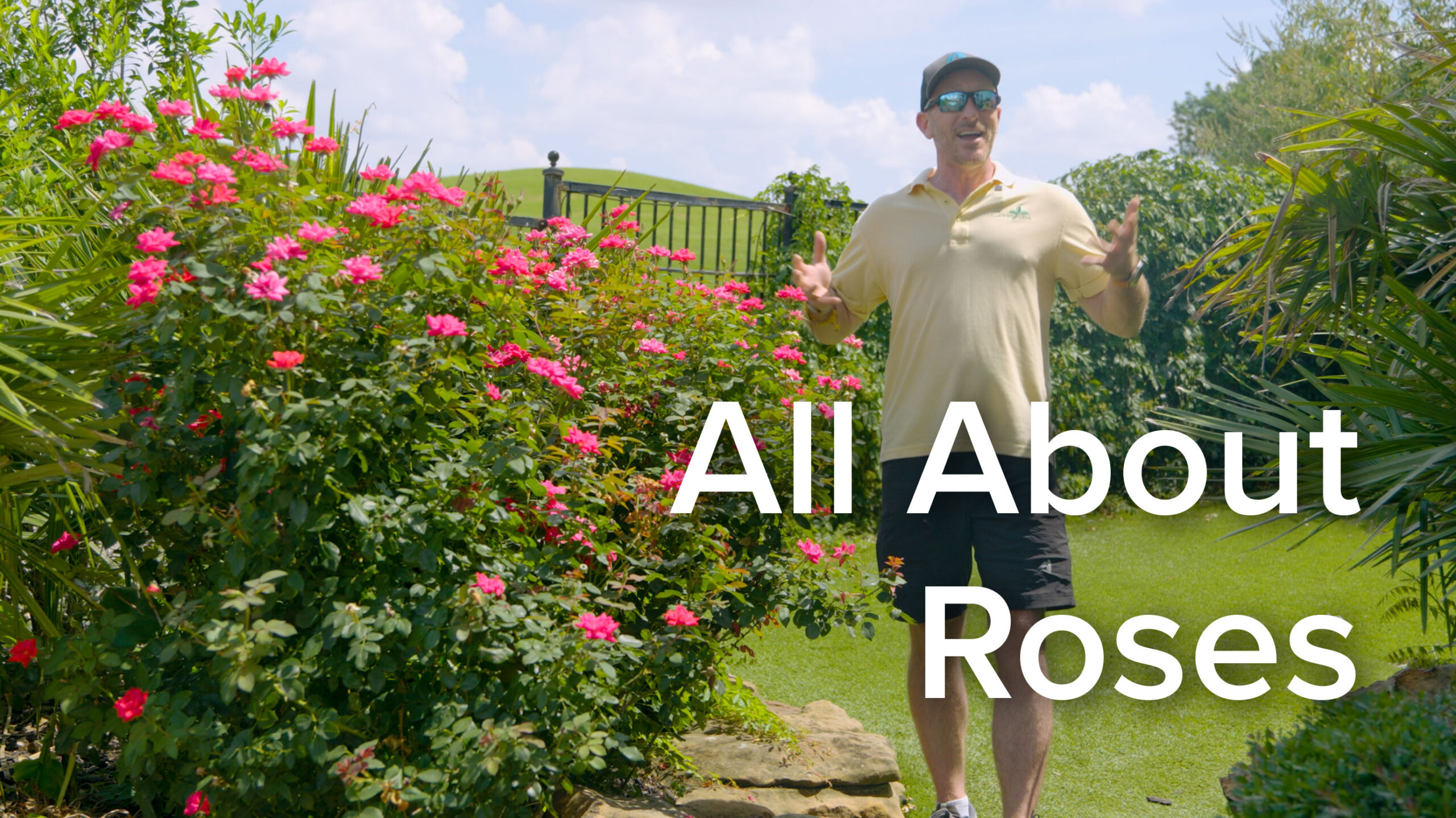All About Roses – Covingtons
