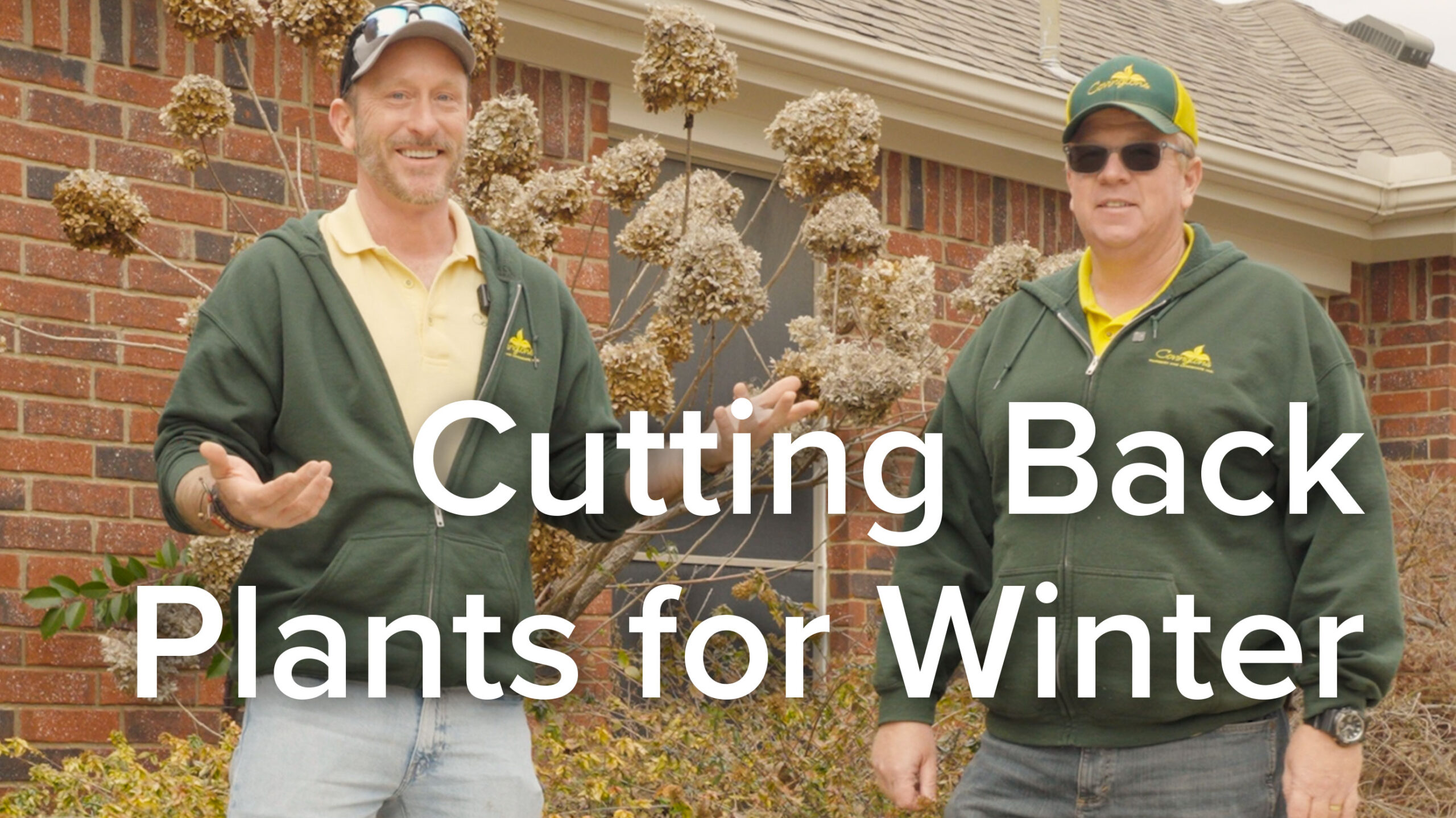 Cutting Back Plants for Winter – Covingtons